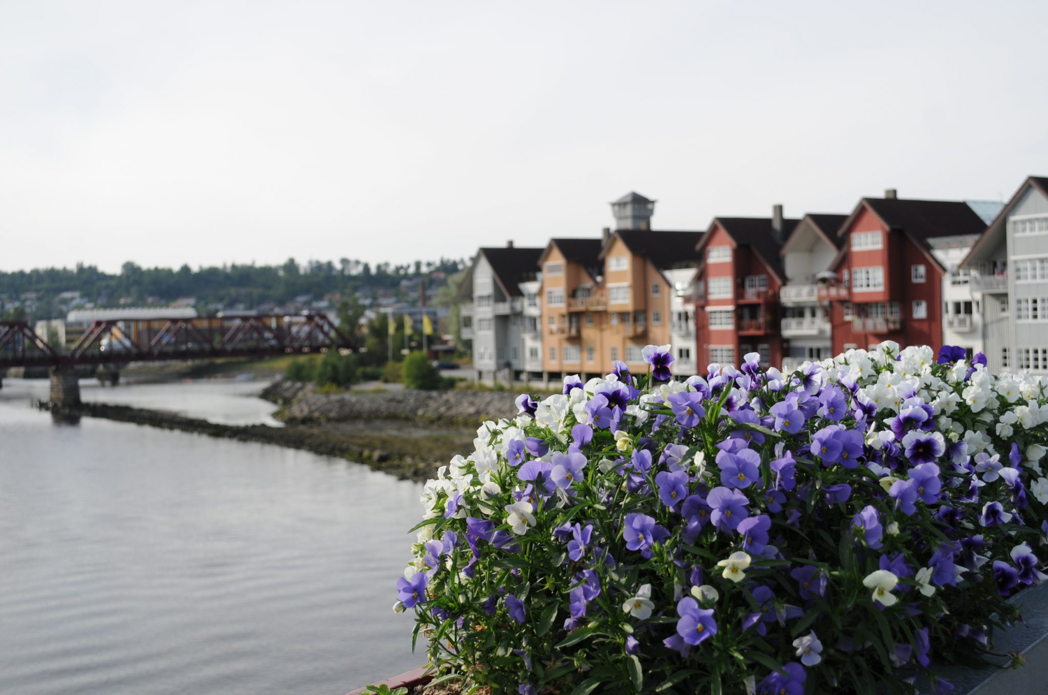 Steinkjer – Kystriksveien AS